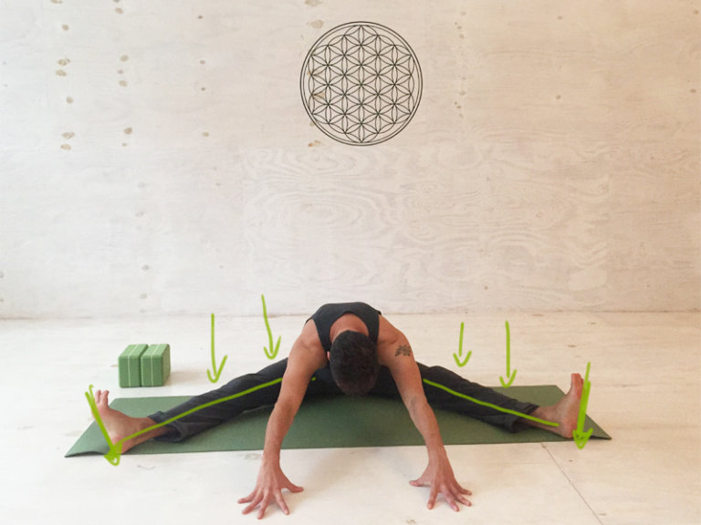 8 Yoga Übungen gegen verkürzte Muskeln in den Beinen (Hamstrings)