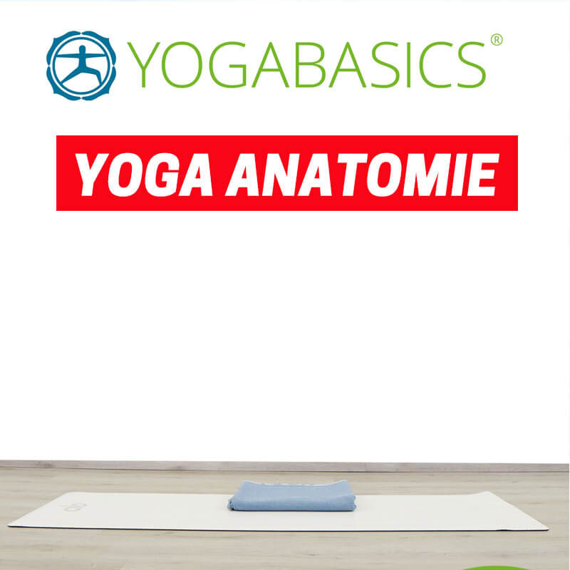 8 Yoga Übungen gegen verkürzte Muskeln in den Beinen (Hamstrings)